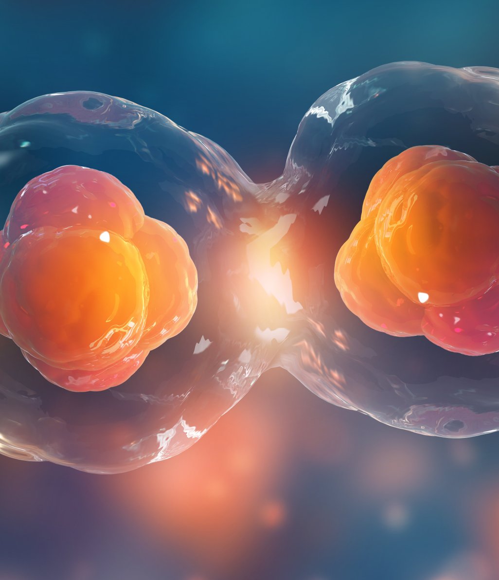 Stem Cell Culture Axion Biosystems 